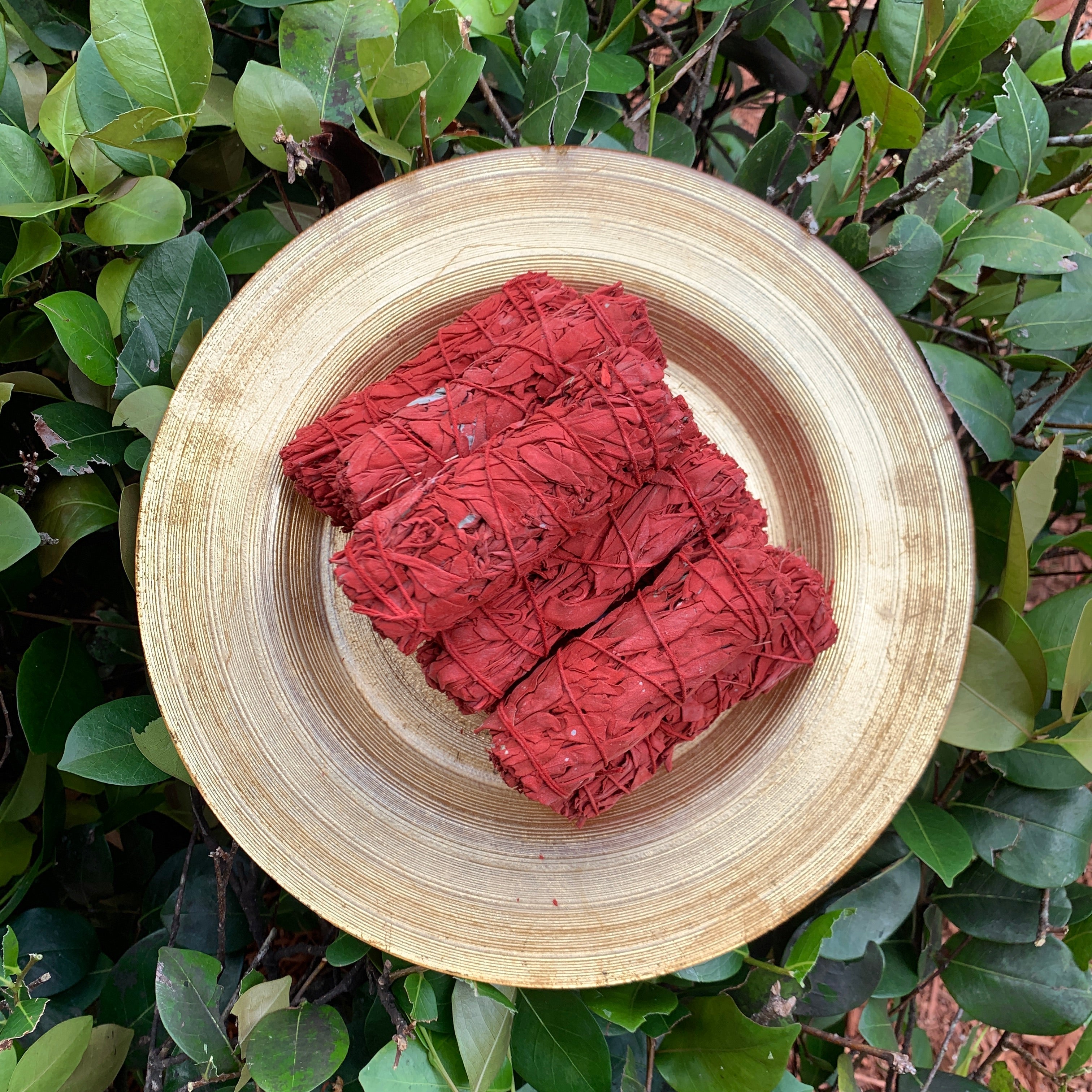 The Mystical Properties of Red Sage – The Mystical Moon Online Store